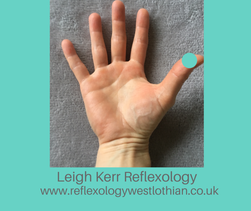 Hand Reflexology – Stress and Tension – Reflexology West Lothian